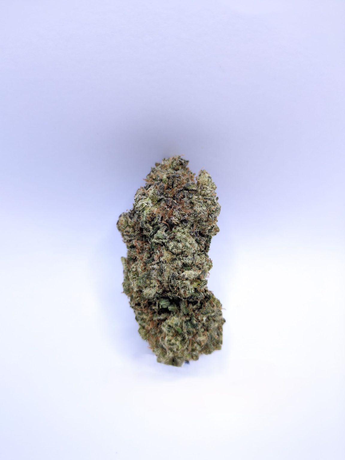 Soft Moroccan Cream Hash – TheBitz420